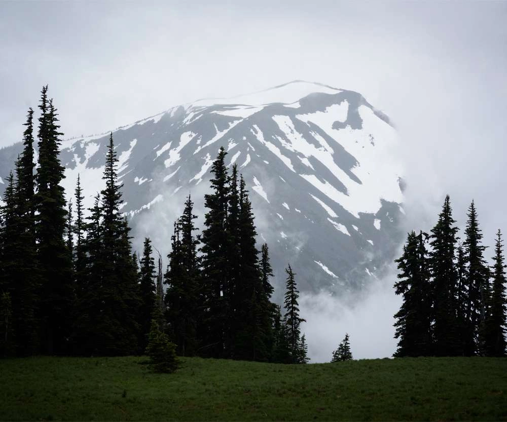 Mt. Rainier Wall Art